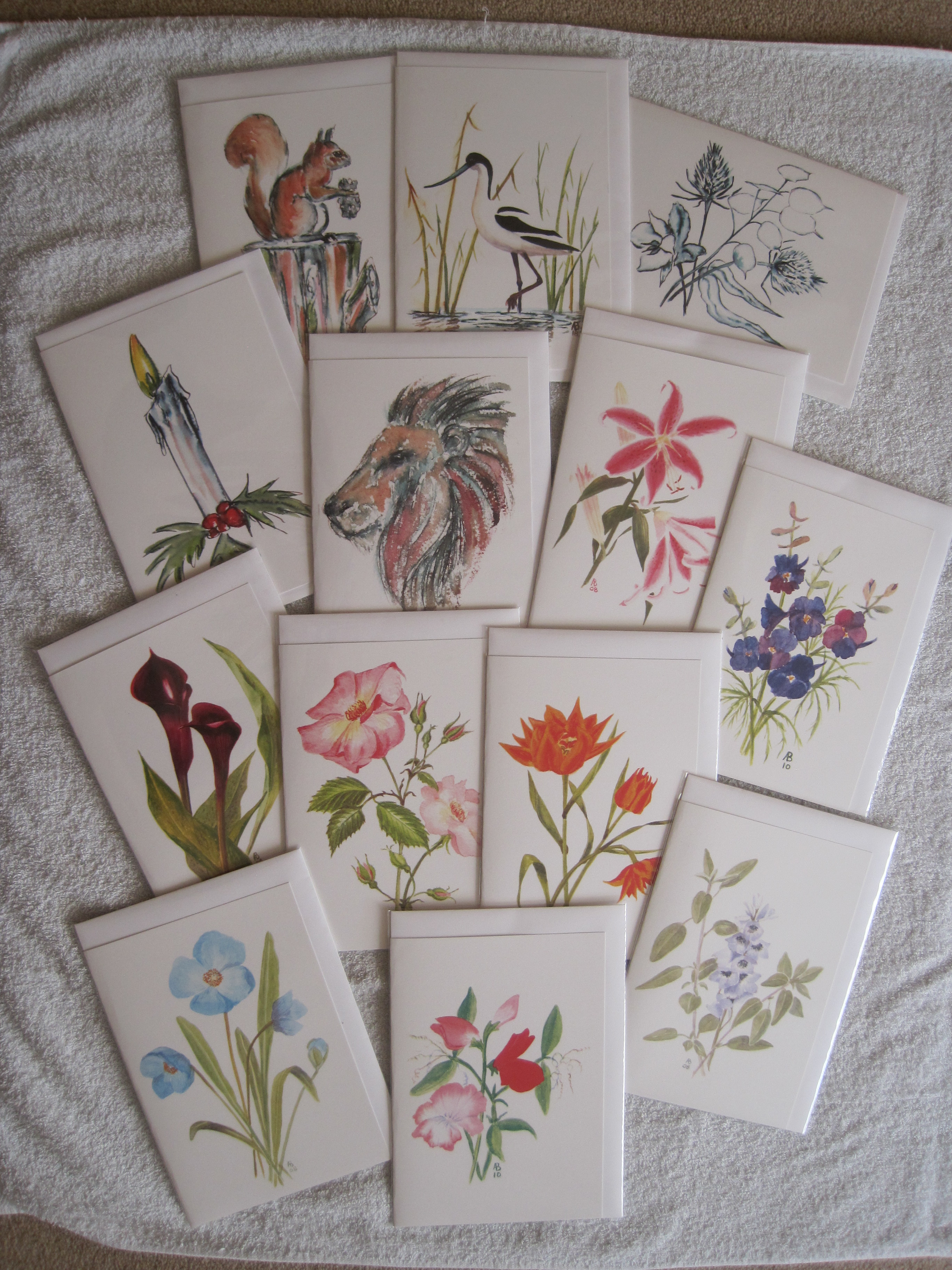 Gallery – Anne Barnham, Artist