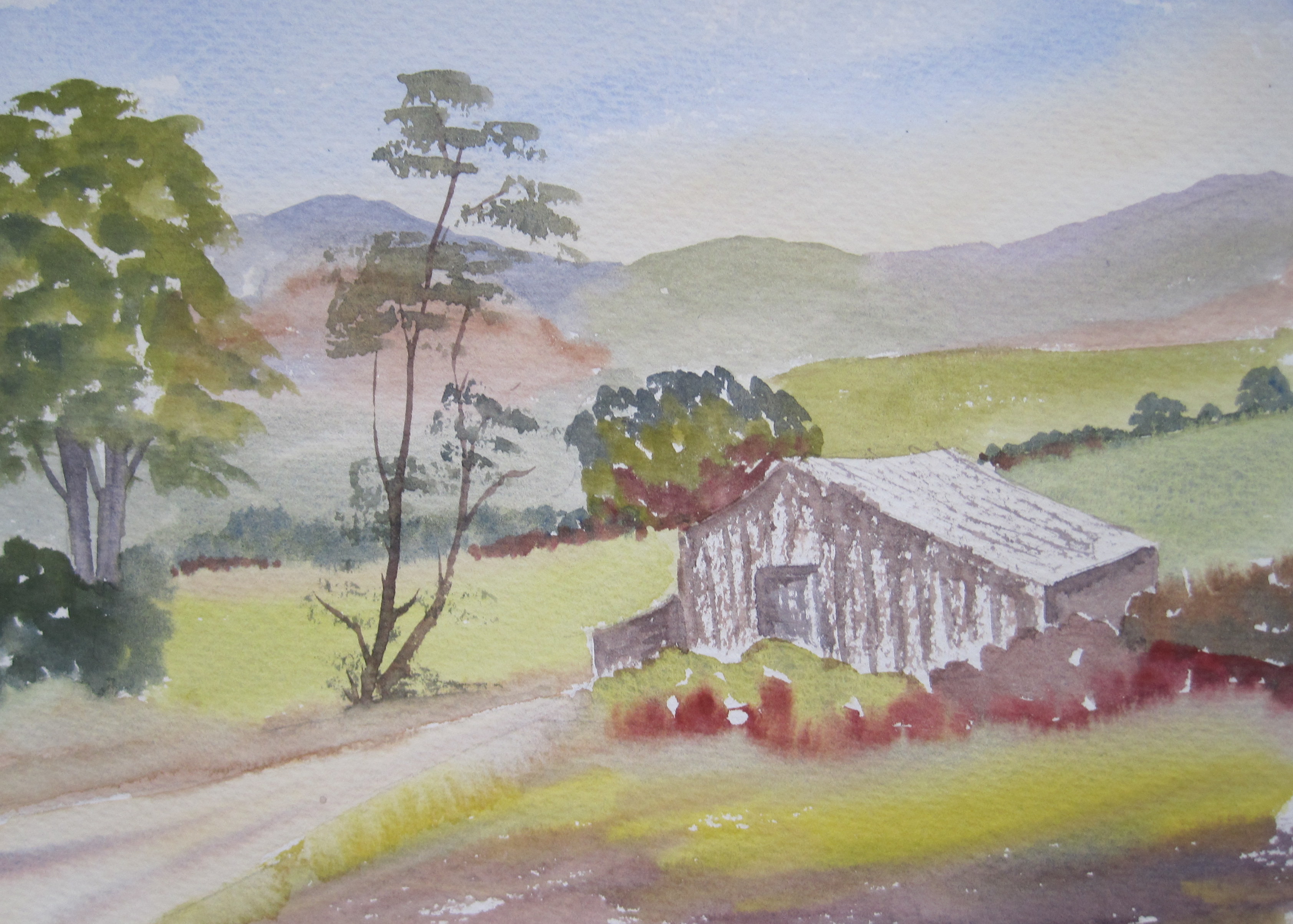 Tip of the Month – Anne Barnham, Artist