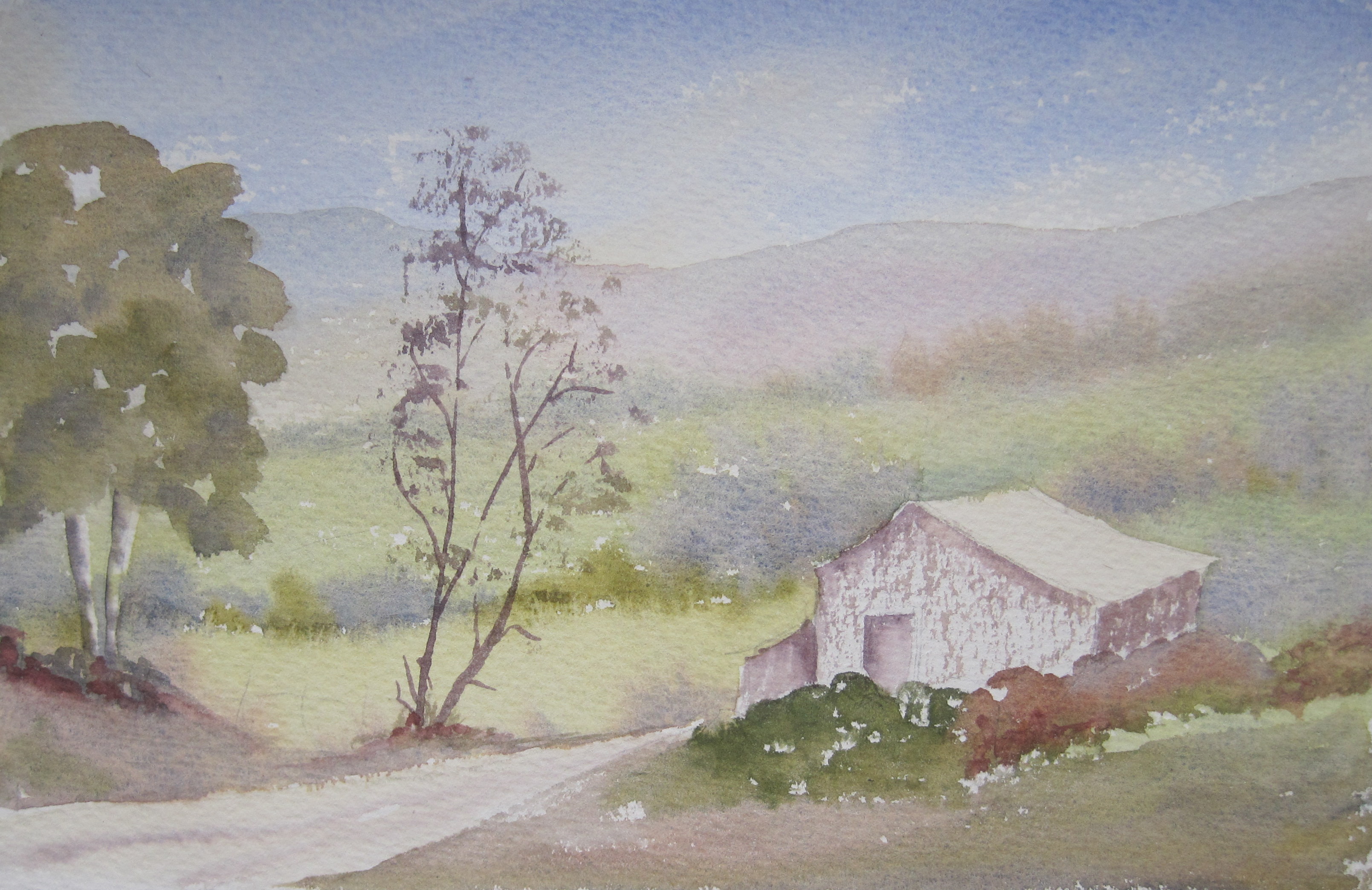 Tip of the Month – Anne Barnham, Artist