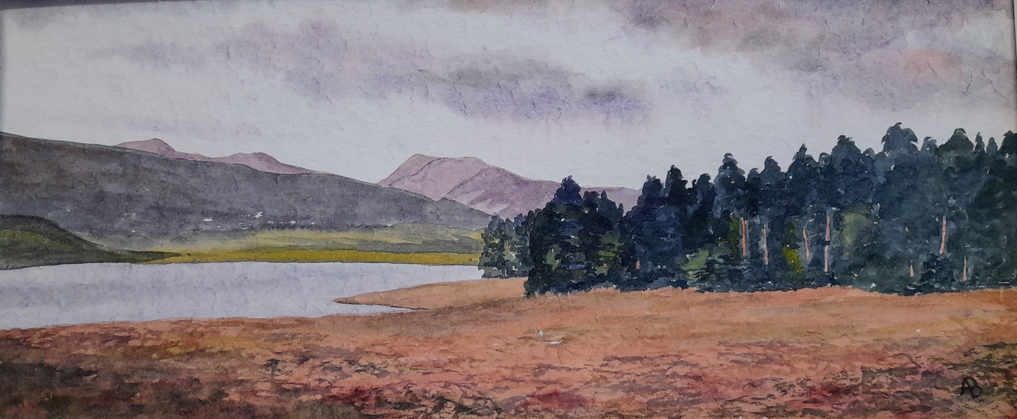 Gallery – Anne Barnham, Artist