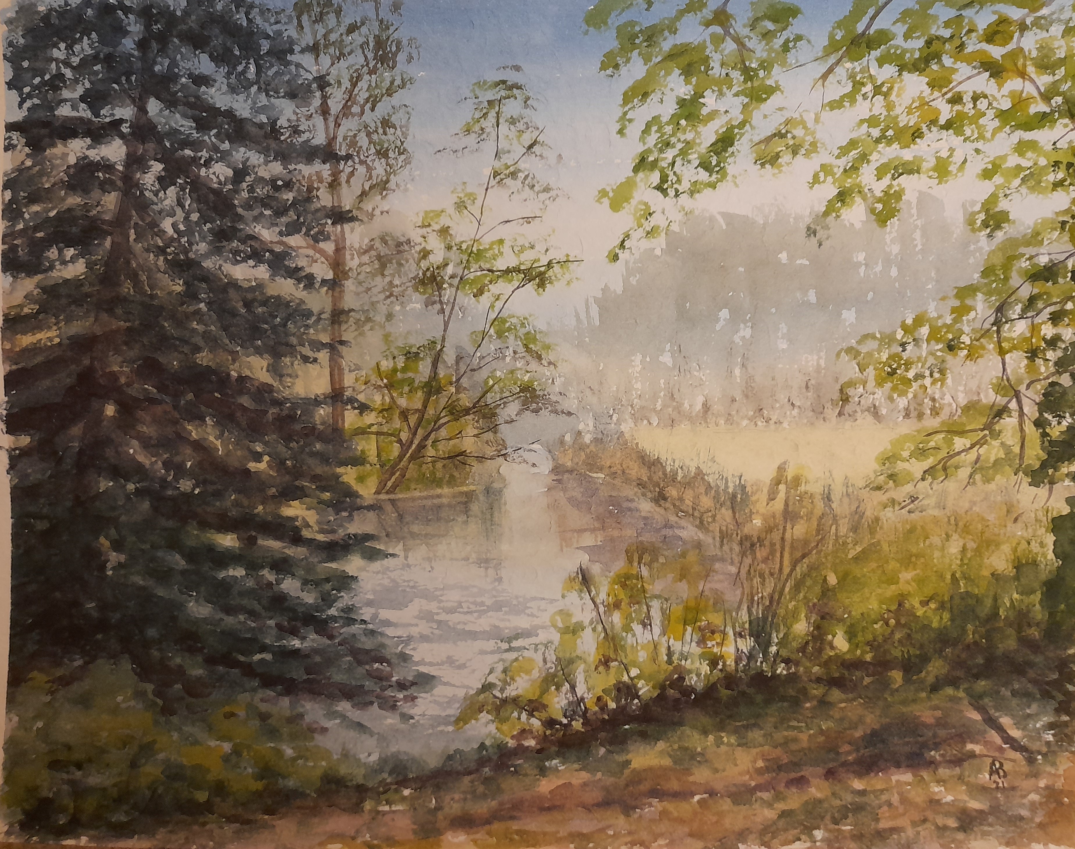 Gallery – Anne Barnham, Artist
