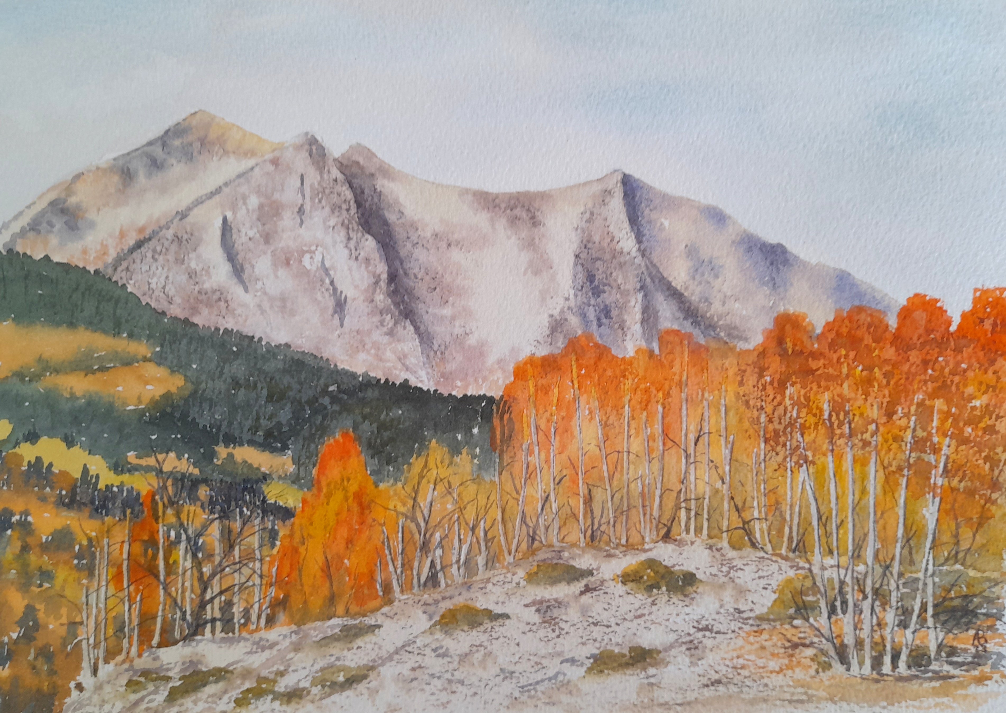 Gallery – Anne Barnham, Artist