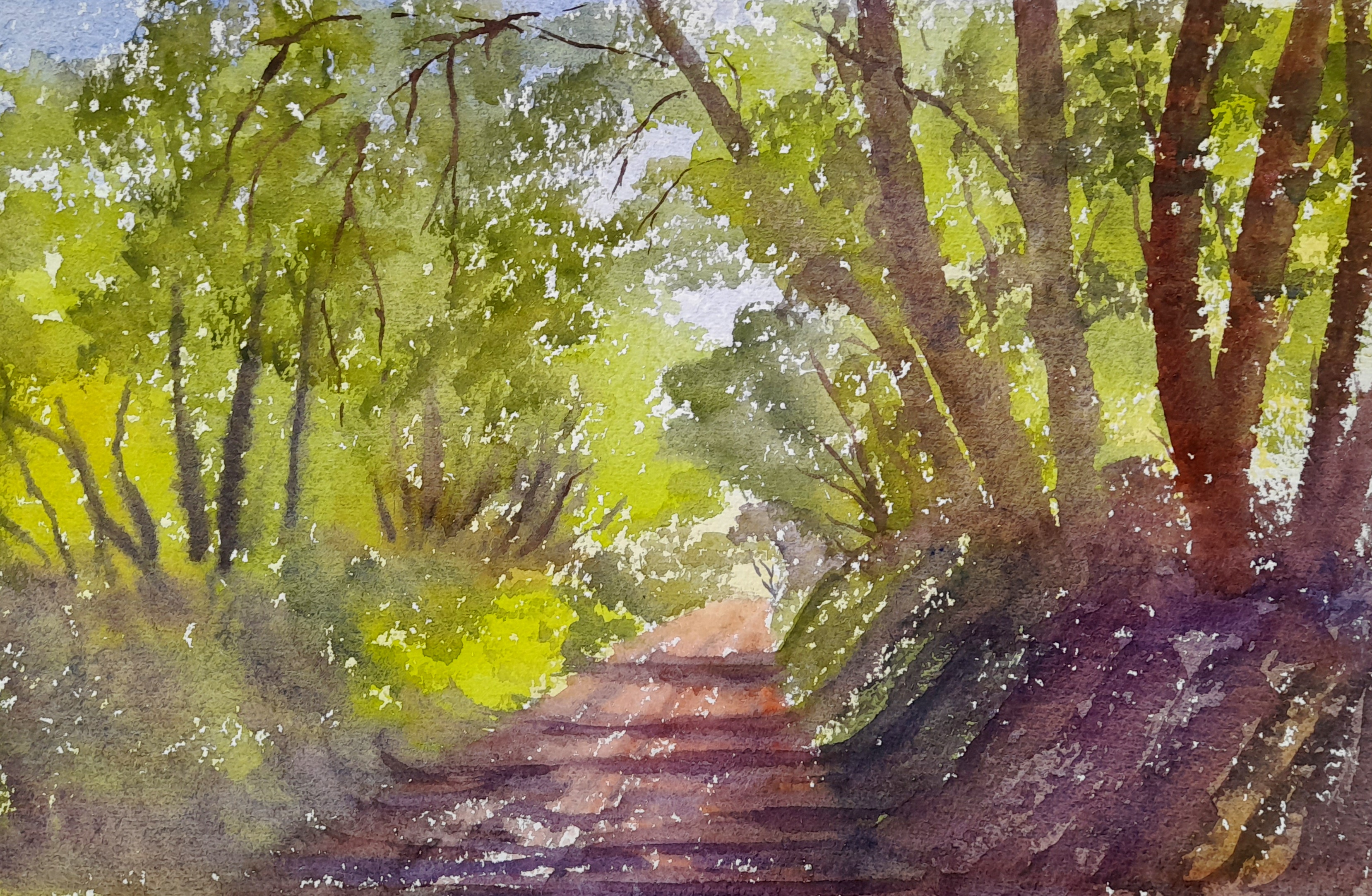 Gallery – Anne Barnham, Artist