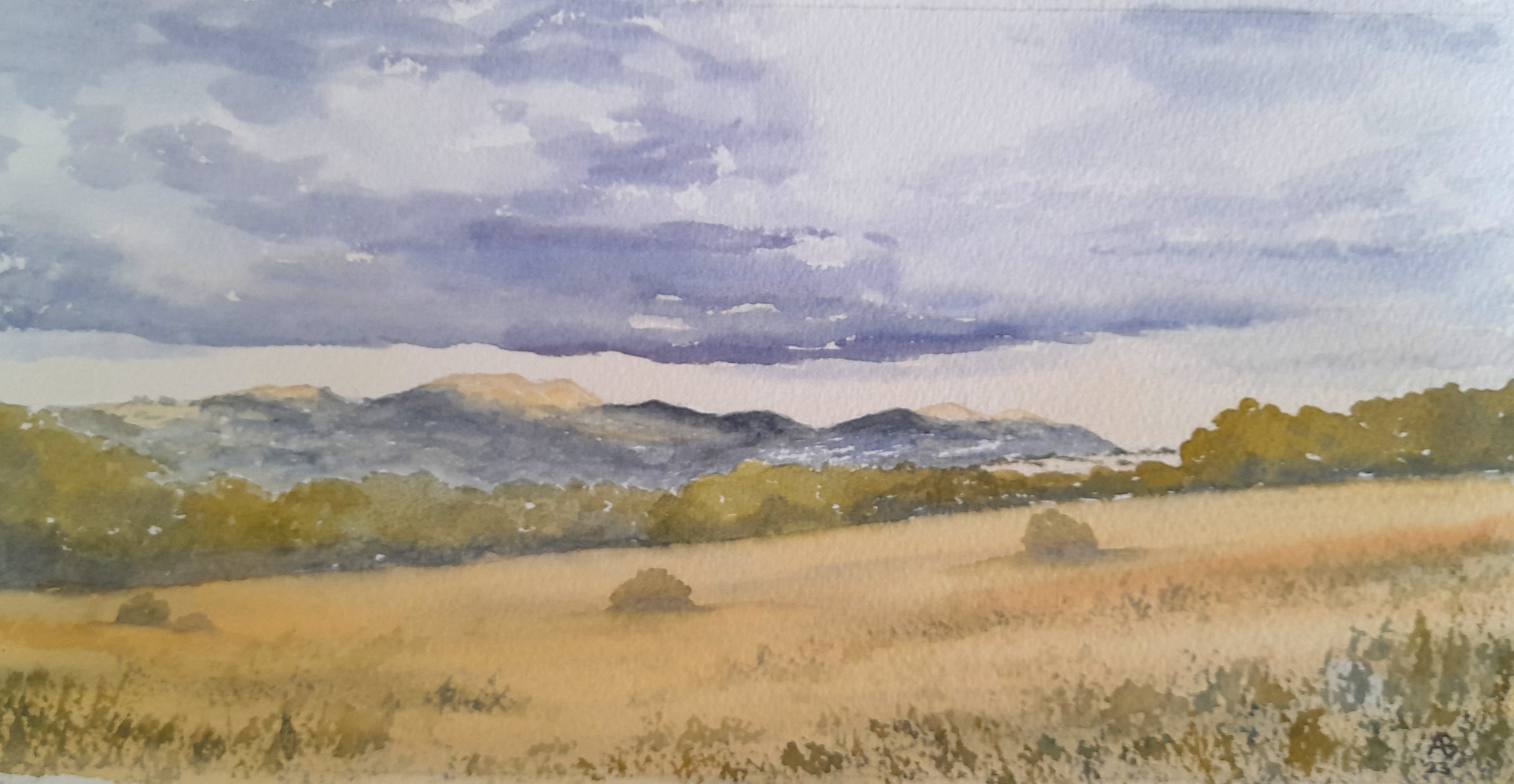 Gallery – Anne Barnham, Artist